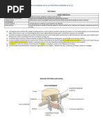 Anatomia e Função do Sacro | PDF | Coluna vertebral | Anatomia