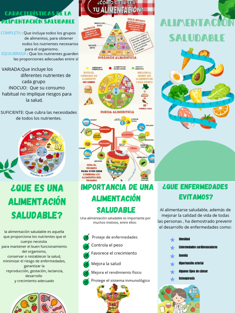 Tríptico de Alimentación Saludable | PDF | Dieta saludable | Especialidades Medicas