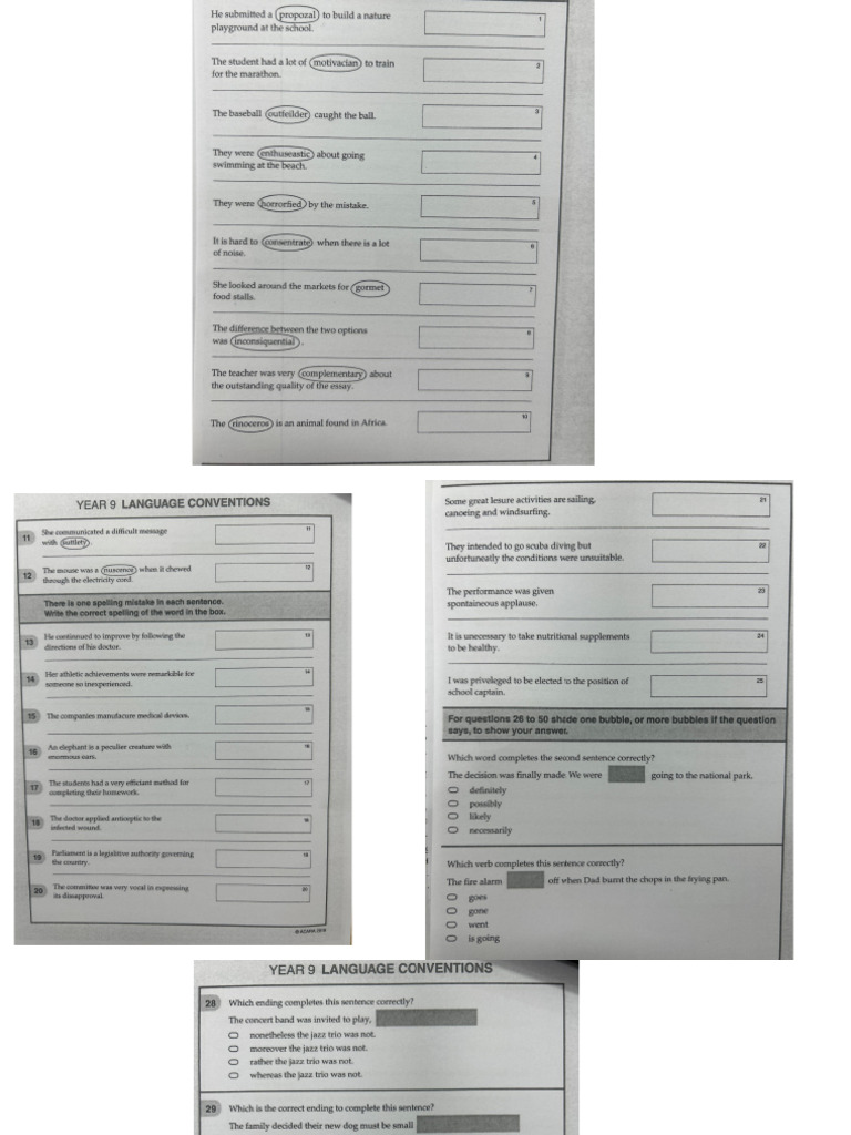 2019 Naplan Language Conventions Questions and Answers | PDF