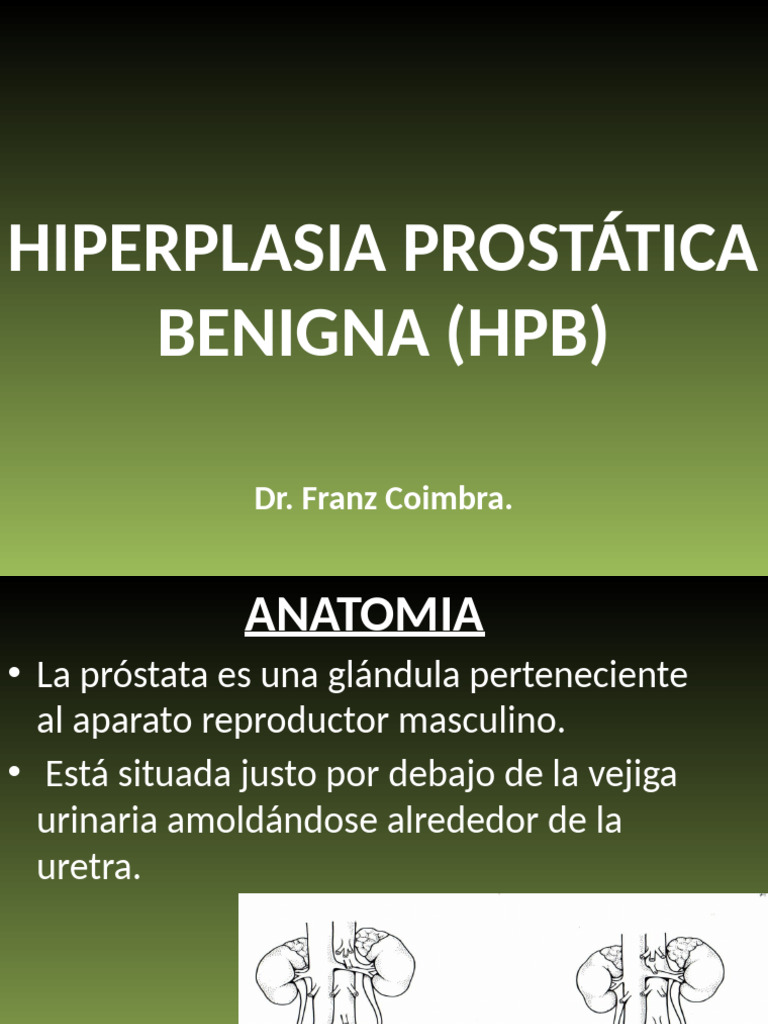 HIPERPLASIA PROSTÁTICA BENIGNA (HPB) | PDF | Próstata | Especialidades Medicas