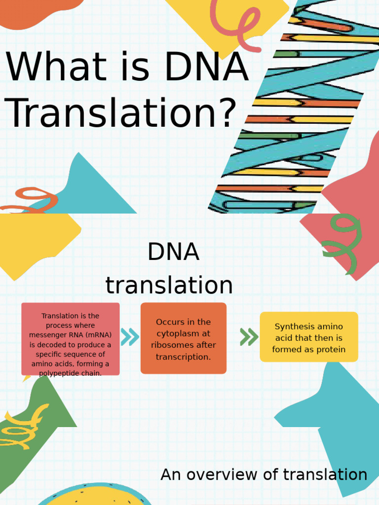 DNA Structure Biology Presentation in A Colorful Bold Style | PDF ...