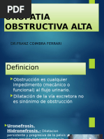 Obstrucción y Estasis Urinaria: Diagnóstico y Tratamiento | PDF ...