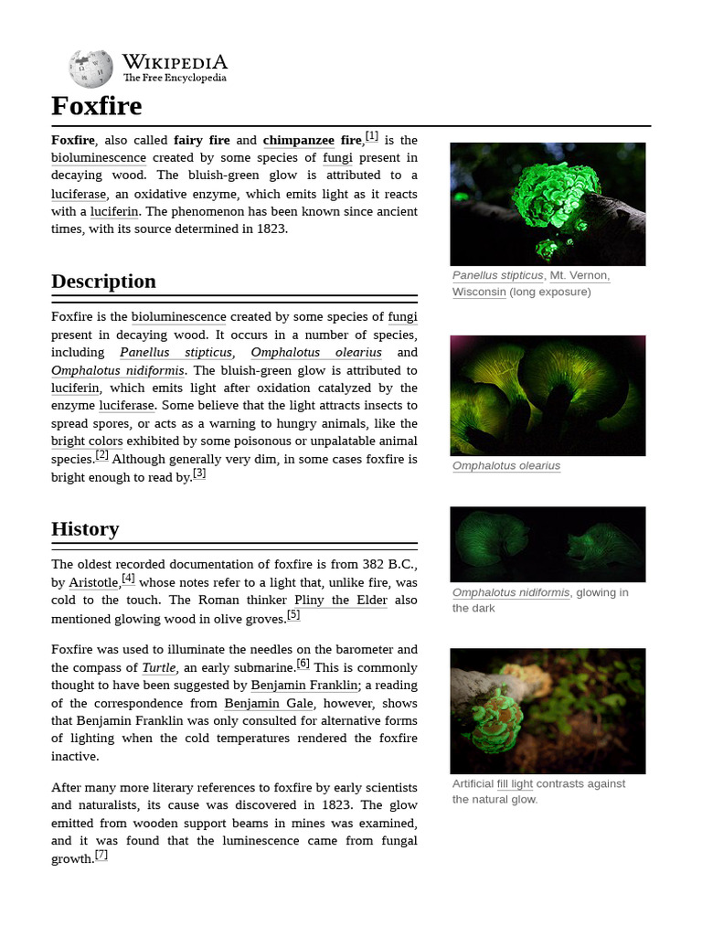 Foxfire - Copy | PDF