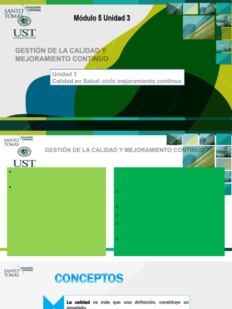 Unidad 3 Gestión de la calidad y mejoramiento continuo_DGS_V1 2024 | PDF | Calidad (comercial ...