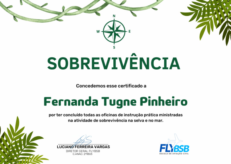 Fernanda Pinheiro | PDF