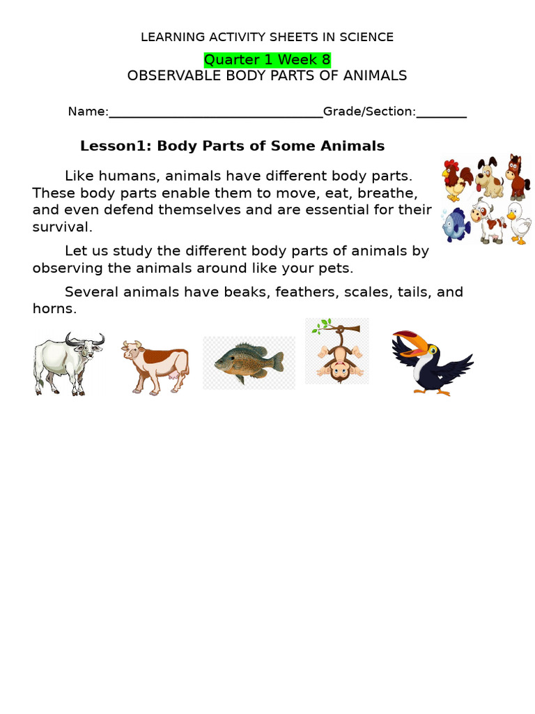 Las-In-Science-Q2-Body Parts-Animals | PDF | Insects | Fly