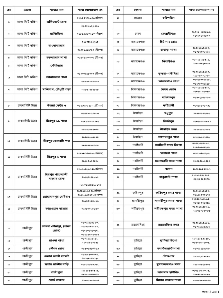 Branch List For Shahin Bhai | PDF