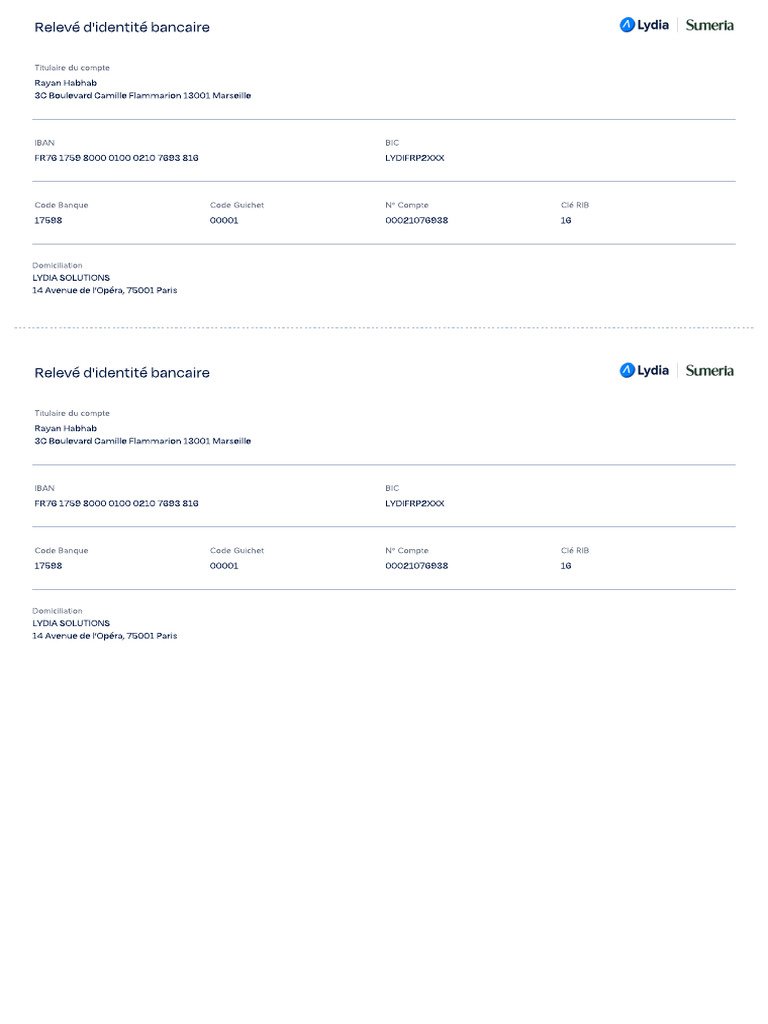 RIB Lydia Babab | PDF