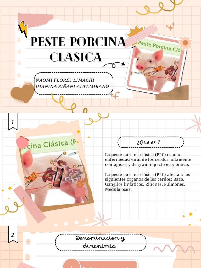 Peste Porcina Clasica | PDF | Virus | Peste (enfermedad)