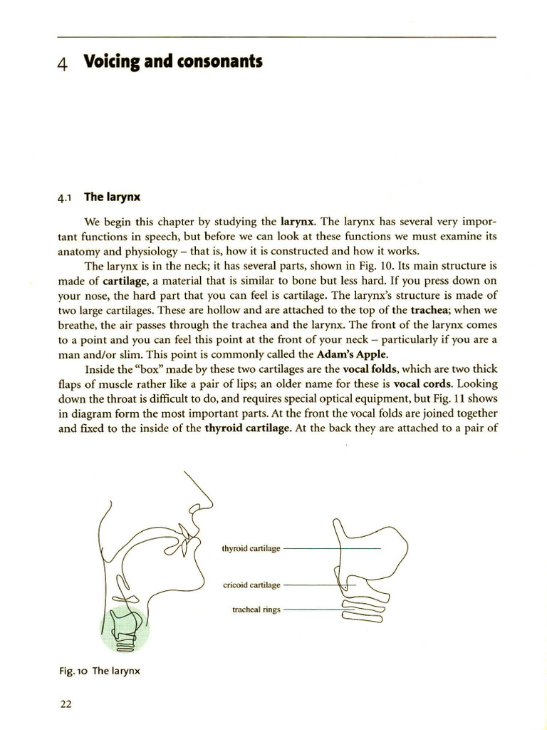 Chapter 04 - Voicing and Consonants | PDF | Larynx | Phonetics