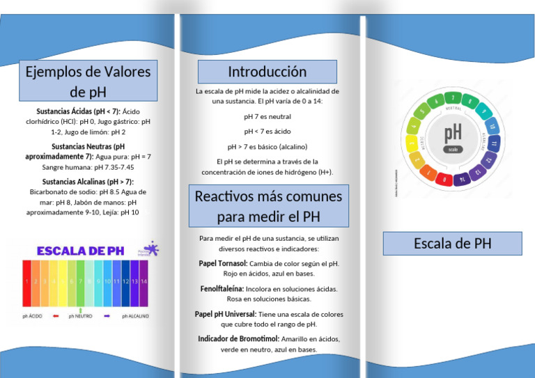 Escala de pH: Medición y Ejemplos | PDF