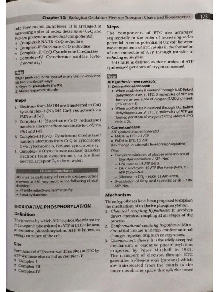 biochemistry Ramamoorthy | PDF