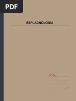 1 Region Superciliar | PDF | Cráneo | Anatomía humana