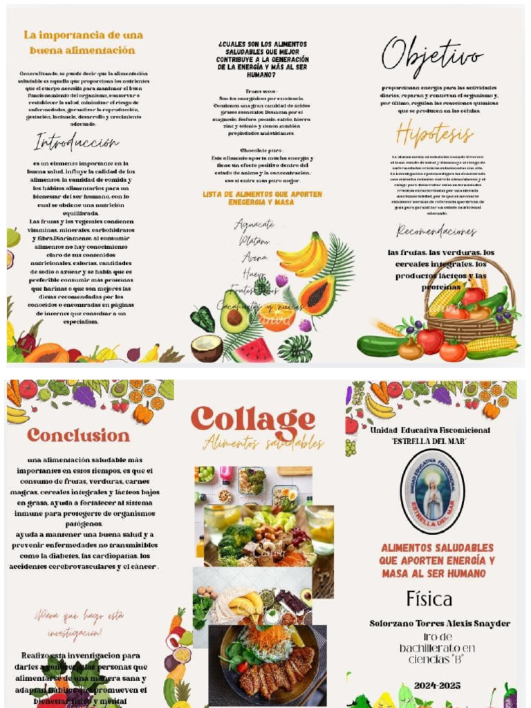 Triptico | PDF