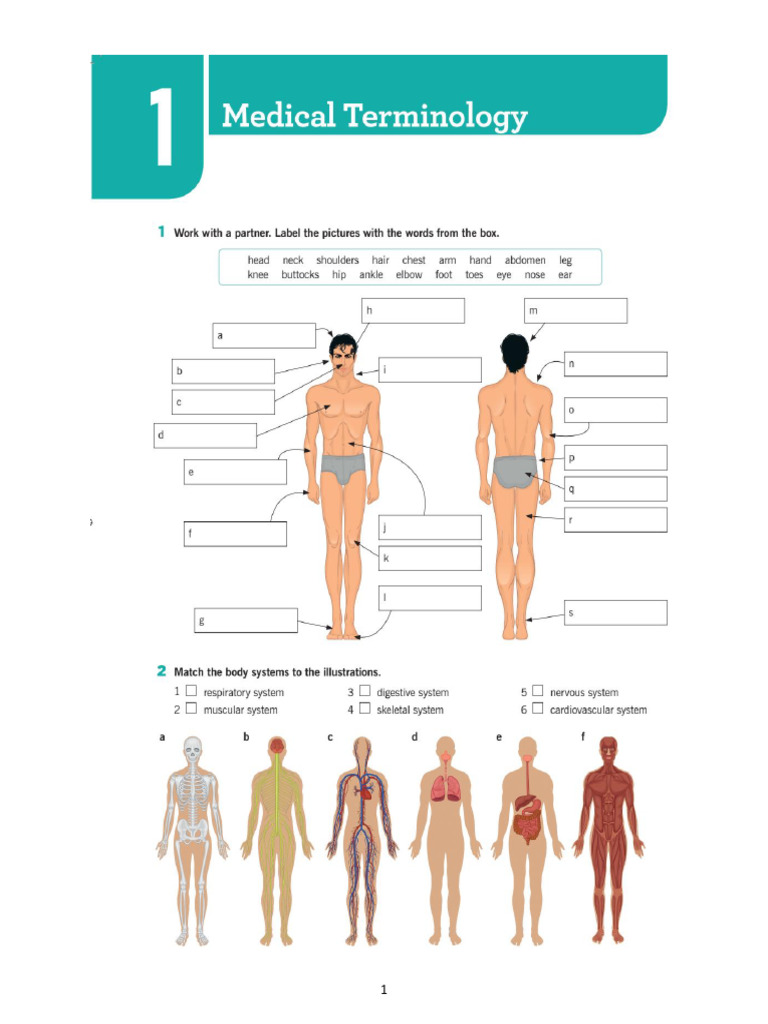 DD2024 Handouts | PDF