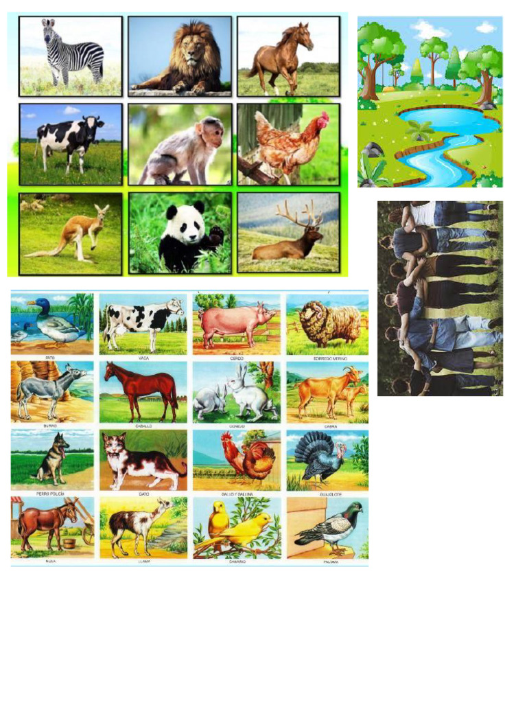 Tarea Sofi 15-3-22 | PDF