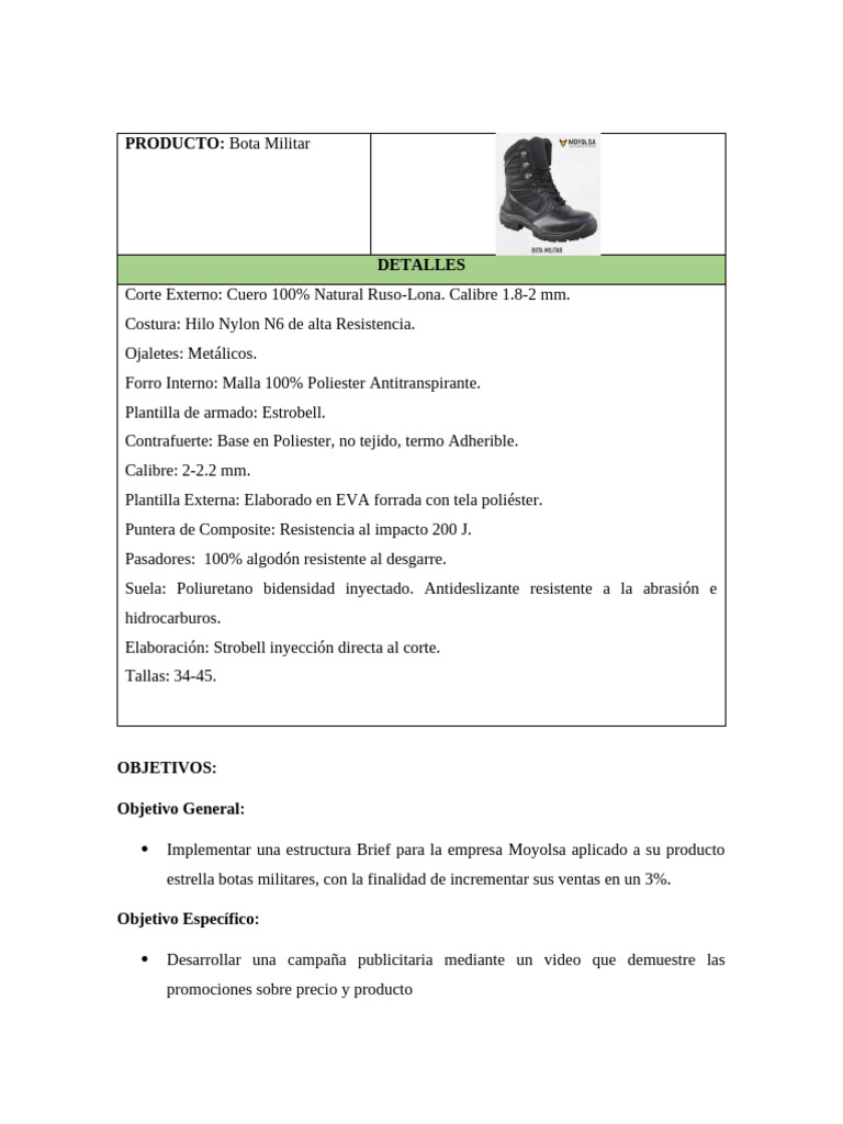 Estrategias Brieff | PDF