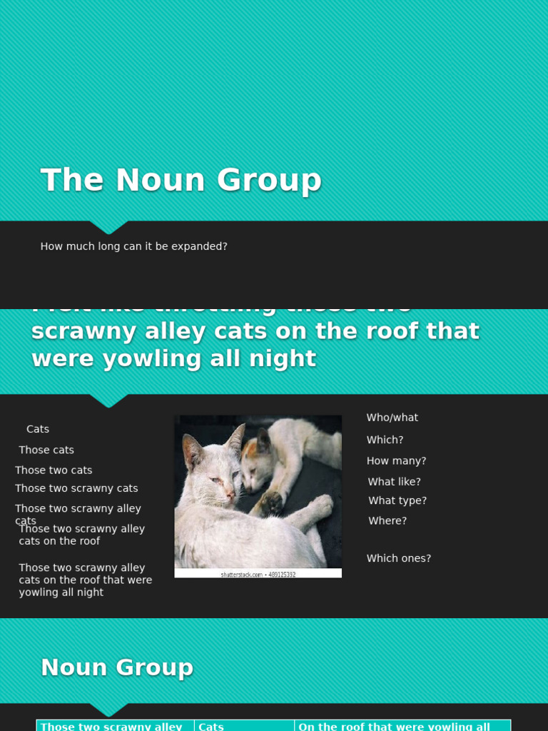 The Noun Group | PDF | Adjective | Noun