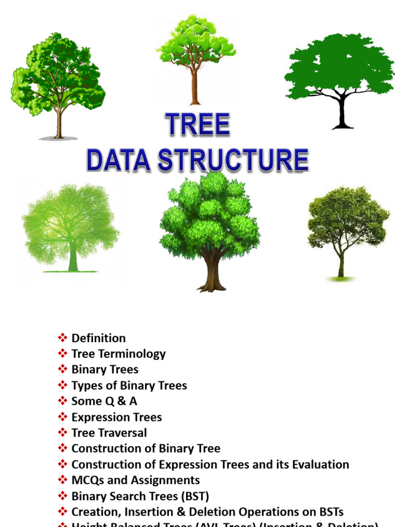 8dsa Pdf Algorithms And Data Structures Computer Programming 