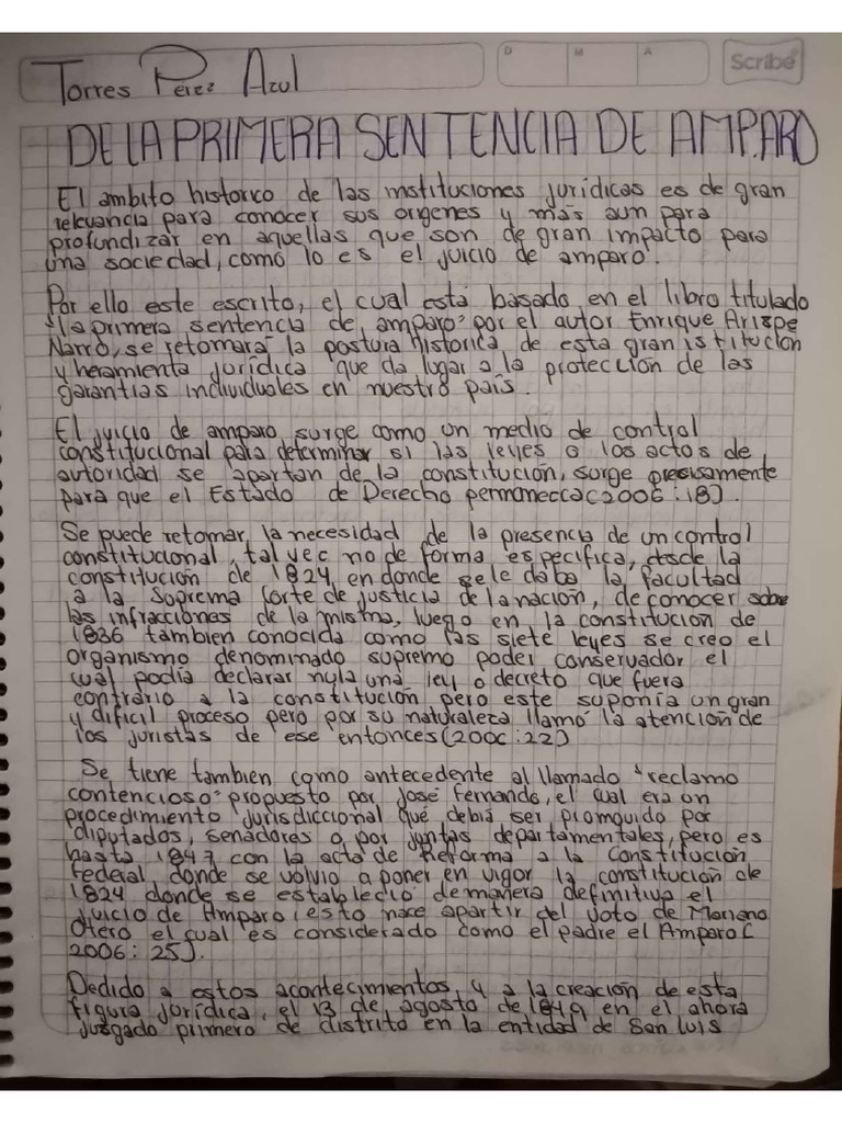 Torres Pérez Azul(sentencia de amparo) | PDF