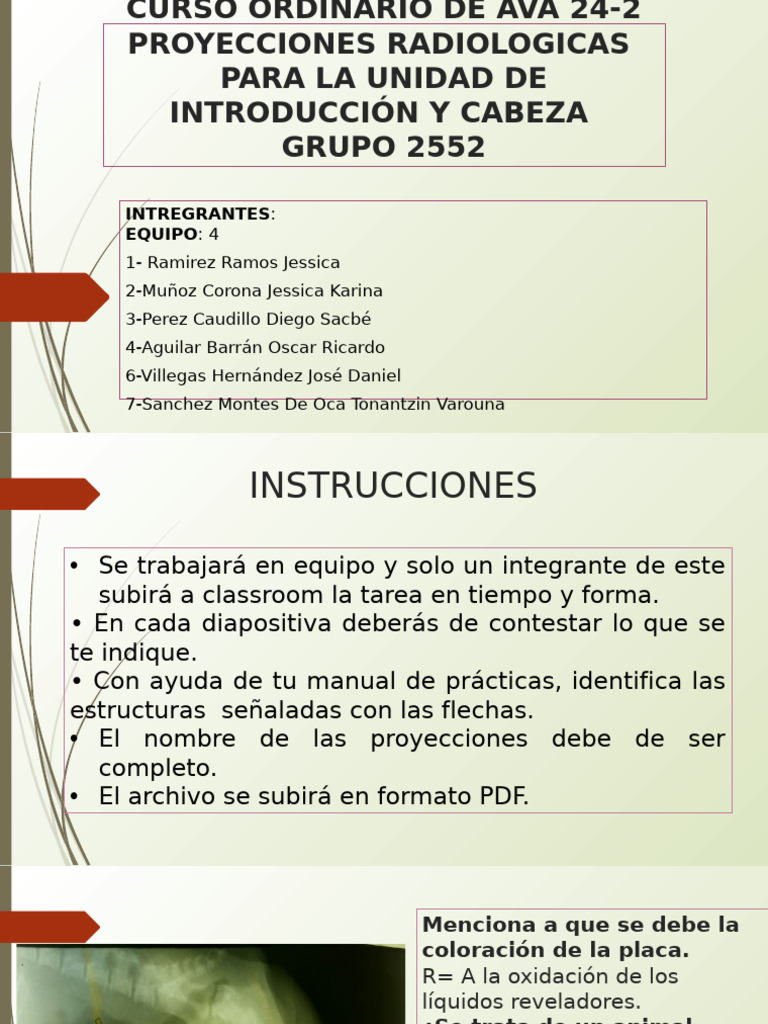 Proyecciones Radiológicas: Guía Práctica | PDF