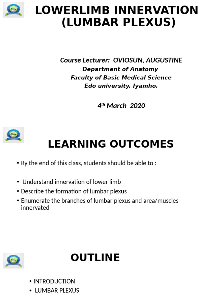 Lower Limb Innervation: Lumbar Plexus Guide | PDF | Human Leg | Limbs ...