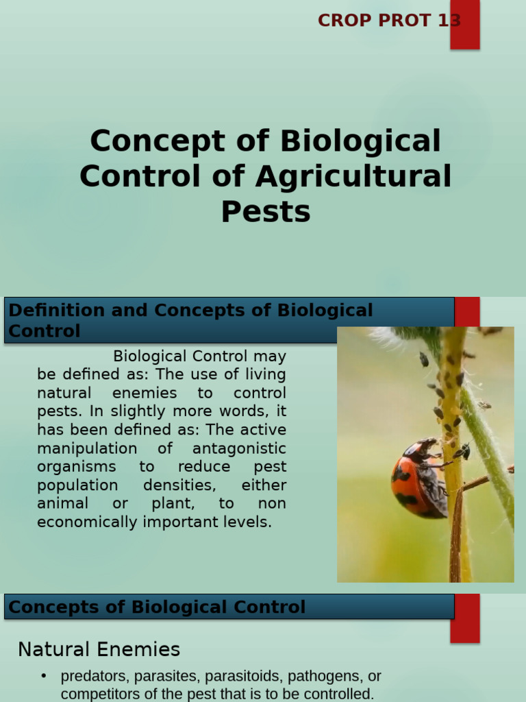 Biological Control of Agricultural Pests | PDF | Biological Pest ...