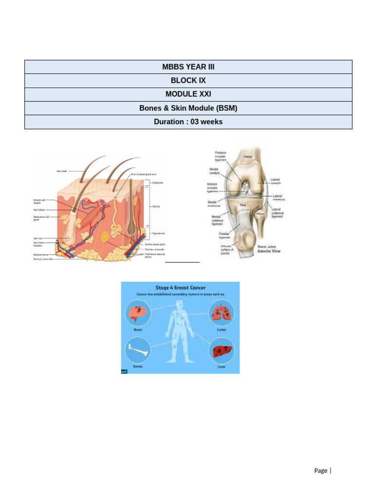 XXII. Bones & Skin Module | PDF | Breast Cancer | Pathology