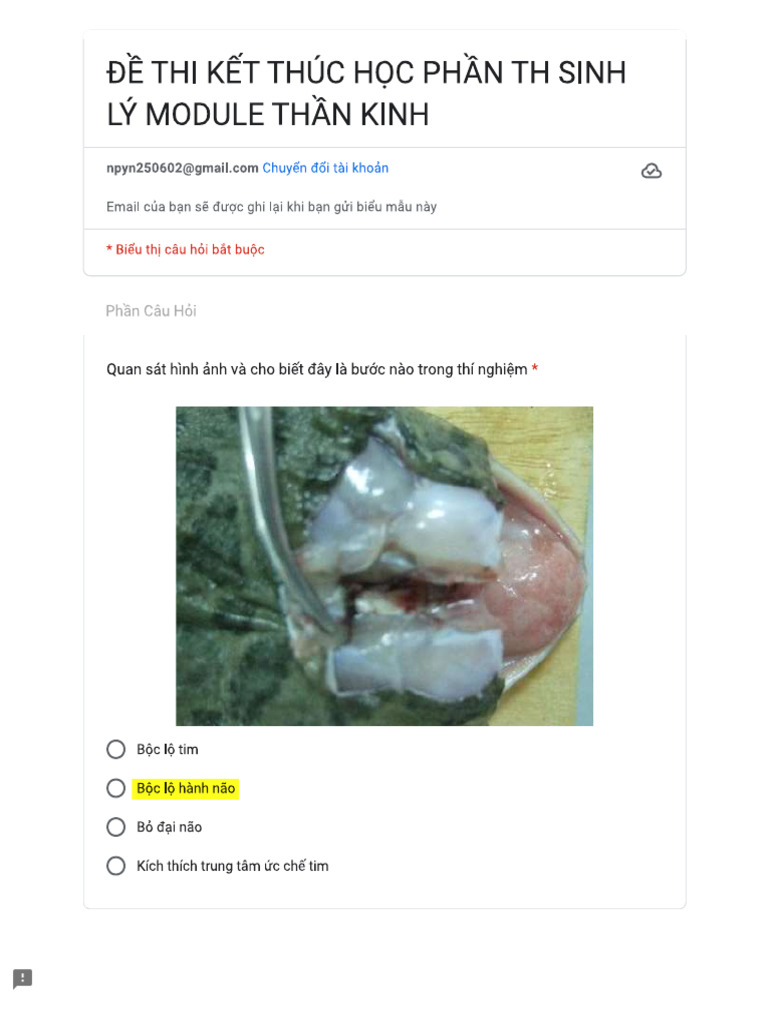 Đề Thi Th Sl Thần Kinh k20 | PDF