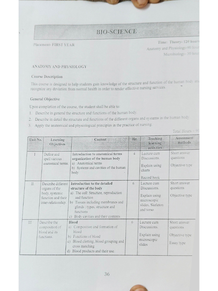 1st Year Syllabus | PDF
