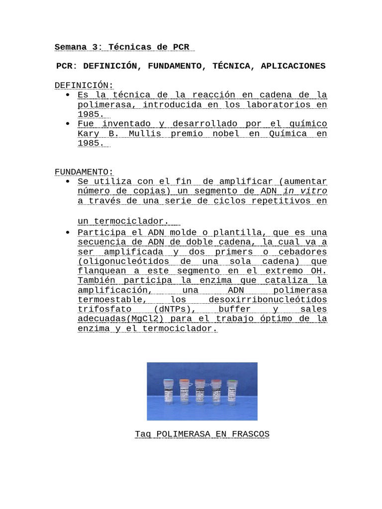 Técnicas de PCR: Fundamentos y Tipos | PDF | Reacción en cadena de la ...