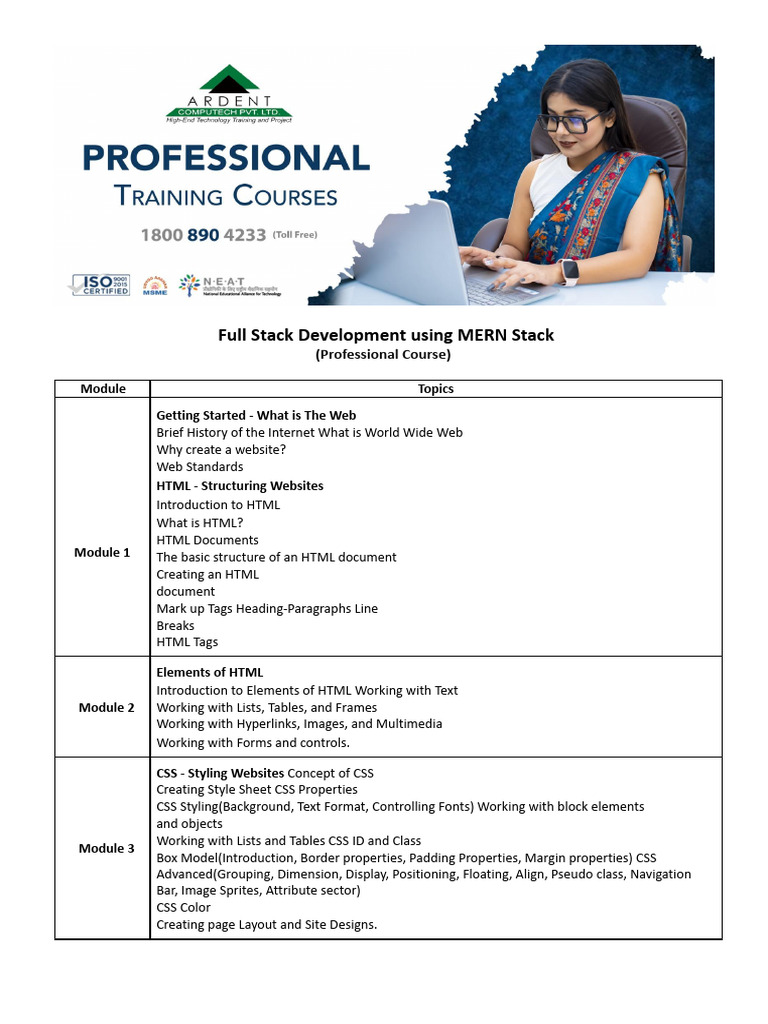 FMERN Professional | PDF | Java Script | J Query