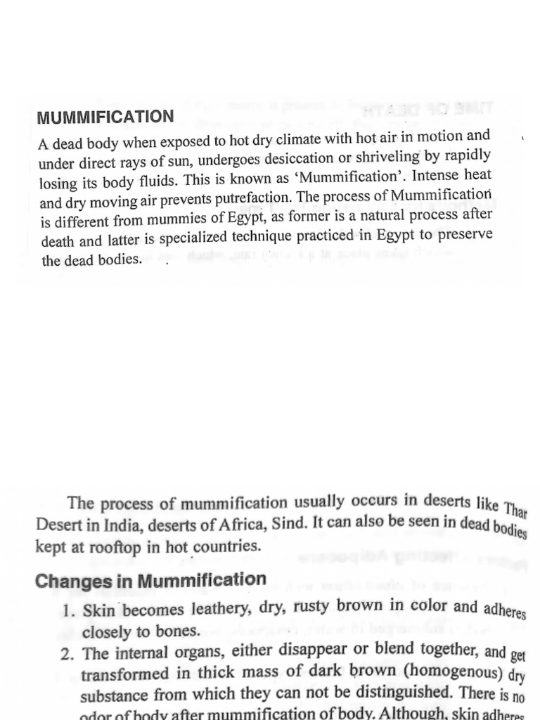 Mummification | PDF