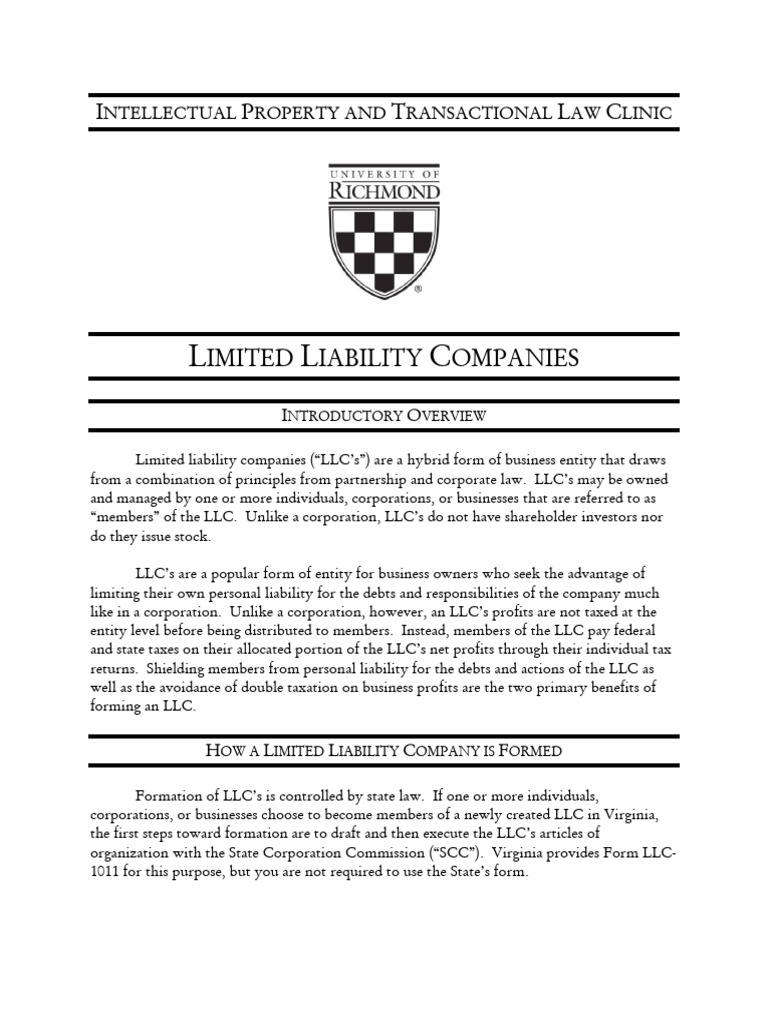Business Limited Liability Company | PDF | Limited Liability Company ...