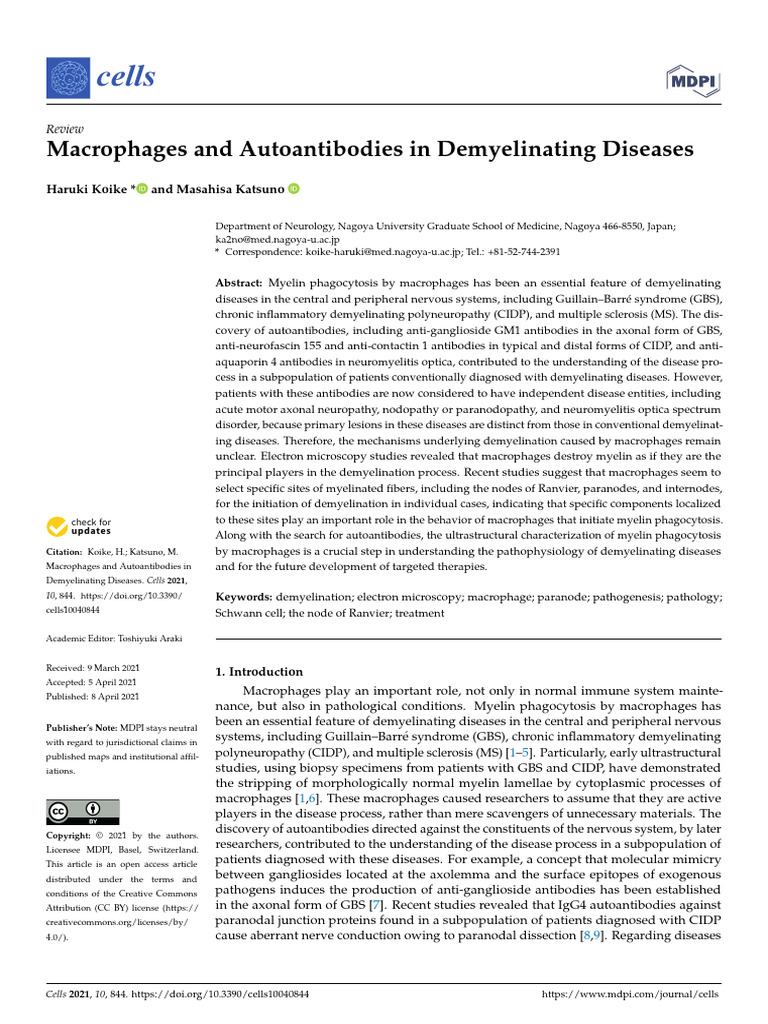 Macrophages and Autoantibodies in Demyelinating Diseases | PDF | Myelin ...