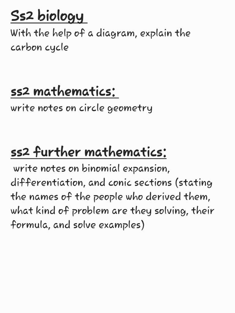 Ss2 Holiday Task | PDF