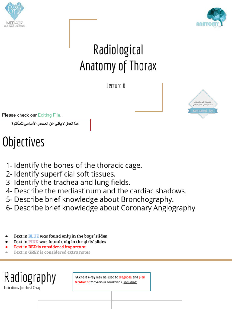 6 - Radiological Anatomy of Thorax | PDF | Thorax | Thorax (Human Anatomy)