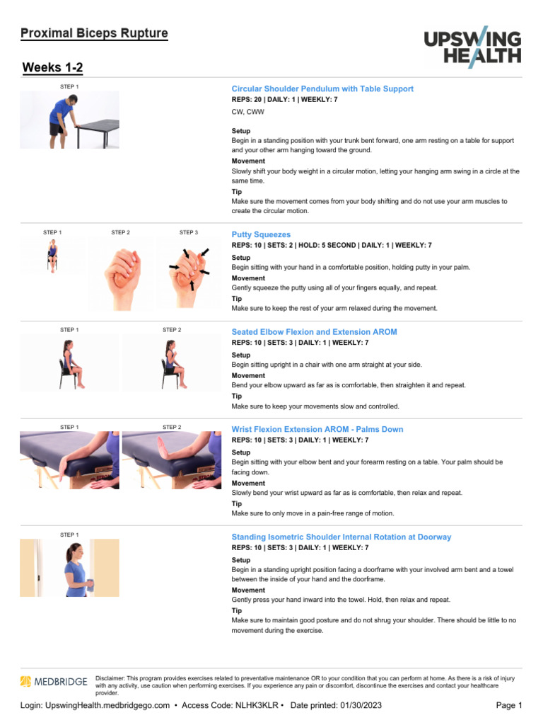 Proximal-Biceps-Rupture | PDF | Anatomical Terms Of Motion | Elbow