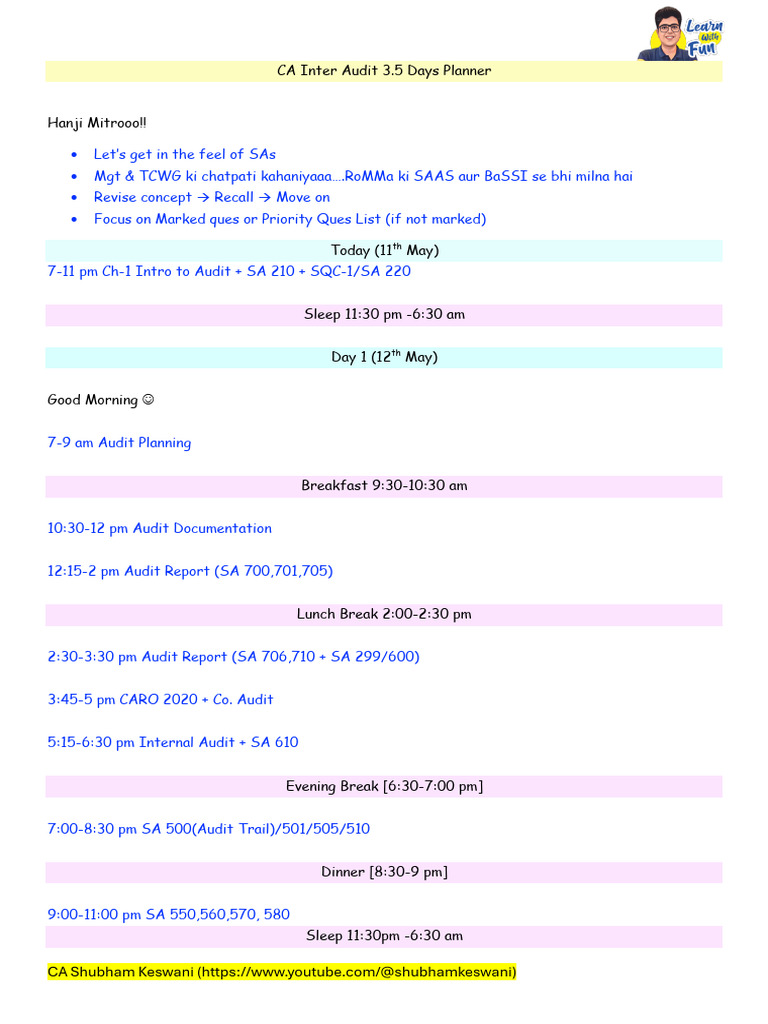 CA Inter Audit 3 Days Planner | PDF