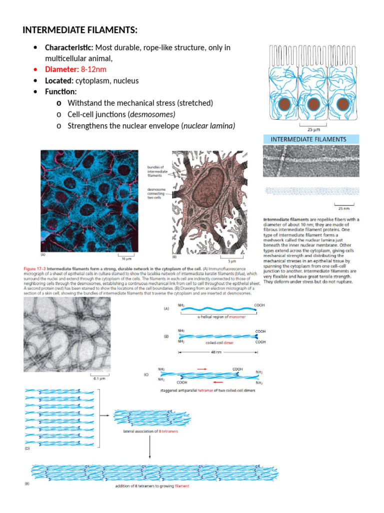 Micro Filament | PDF
