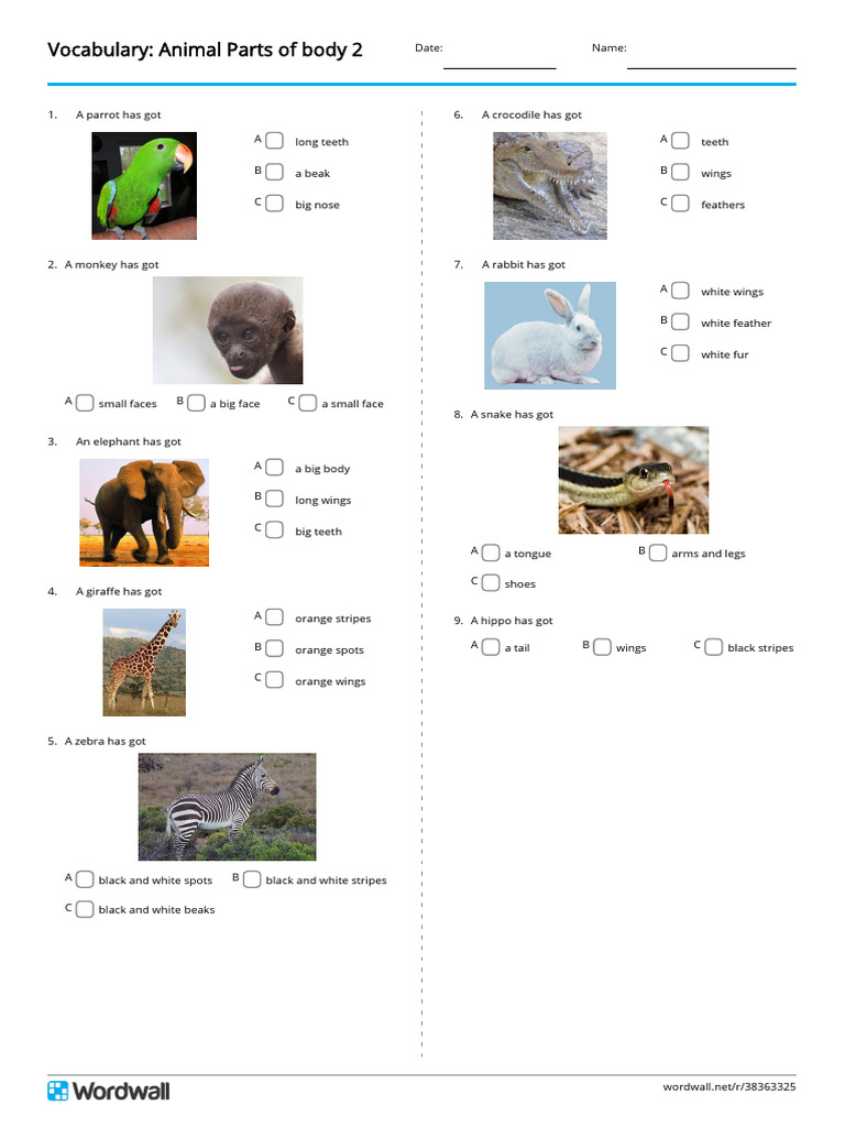Vocabulary Animal Parts of Body 2 Quiz | PDF | Birds