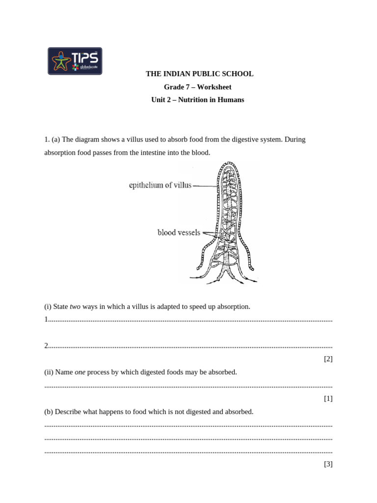 Grade 7 Nutrition Worksheet | PDF | Digestion | Human Digestive System