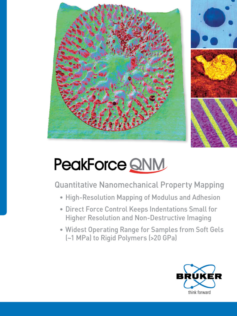PeakForce-QNM-Quantitative-Nanomechanical-Property-Mapping-Brochure-BRUKER | PDF | Atomic Force ...