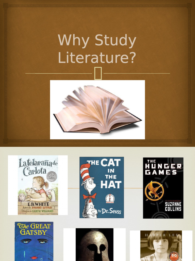 The Importance of Studying Literature | PDF