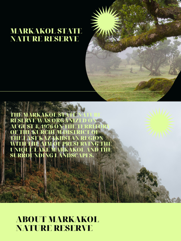 Markakol Nature Reserve | PDF