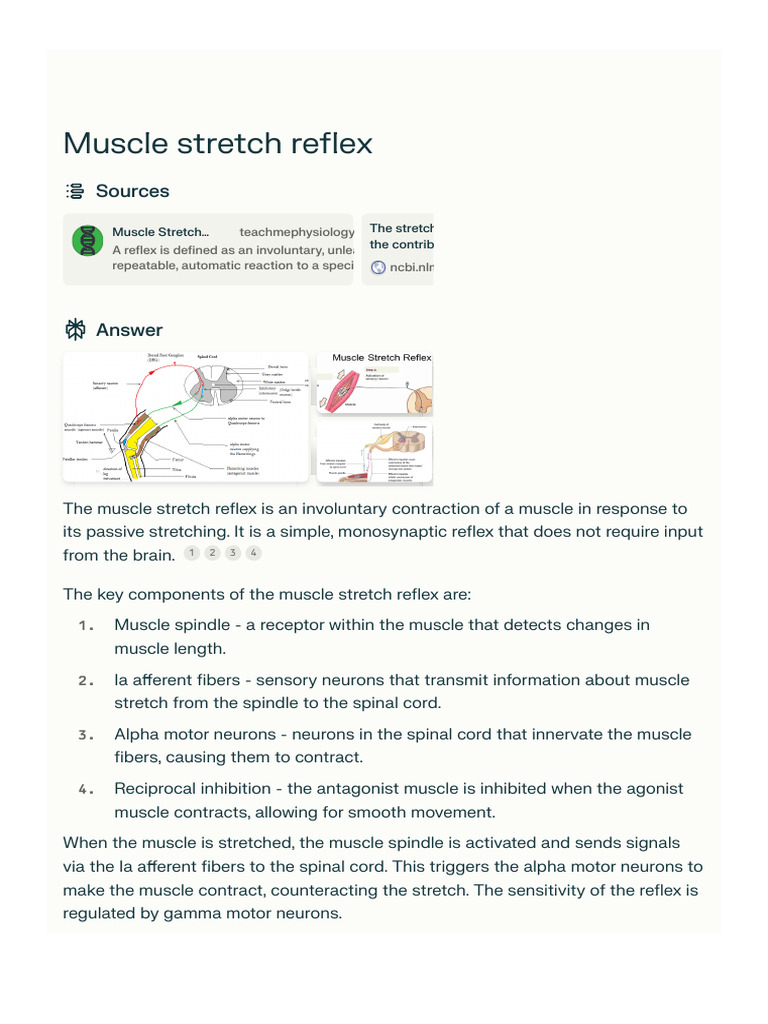 Muscle stretch reflex | PDF | Motor Neuron | Neurophysiology