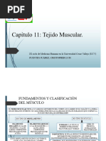 Estructura y función de la miosina | PDF | Biología Molecular ...