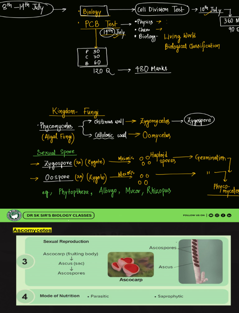B1 01.7 | PDF