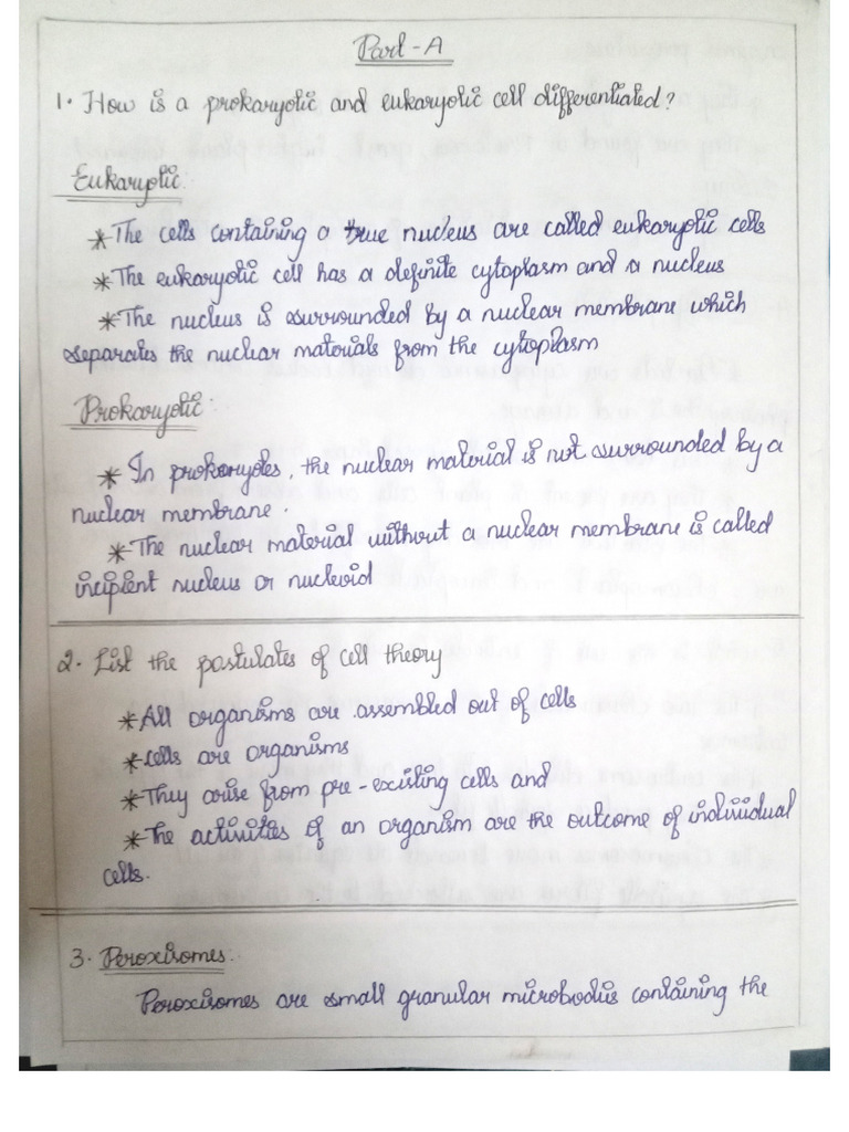 Cell Biology Assignment | PDF