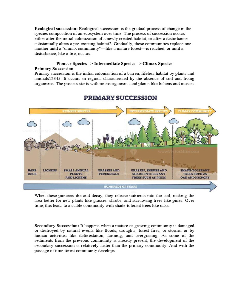 Ecological Succession | PDF